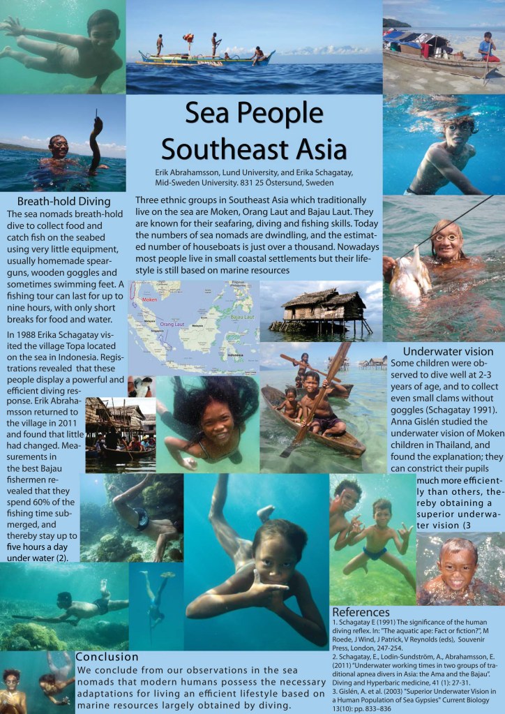 Poster about Sea Nomads in Southeast Asia | The Aquatic Ape