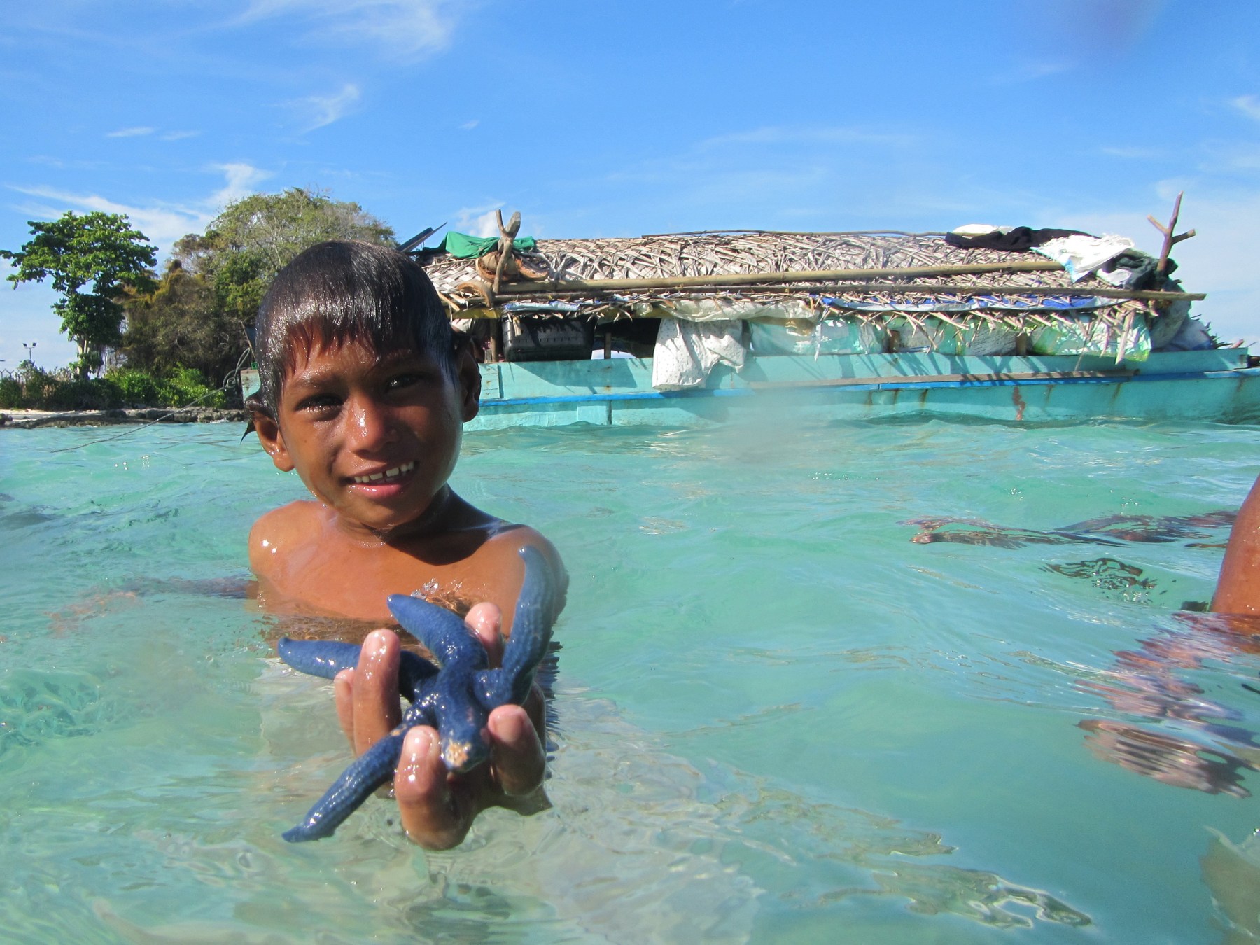 The Aquatic Ape | For a Living Ocean
