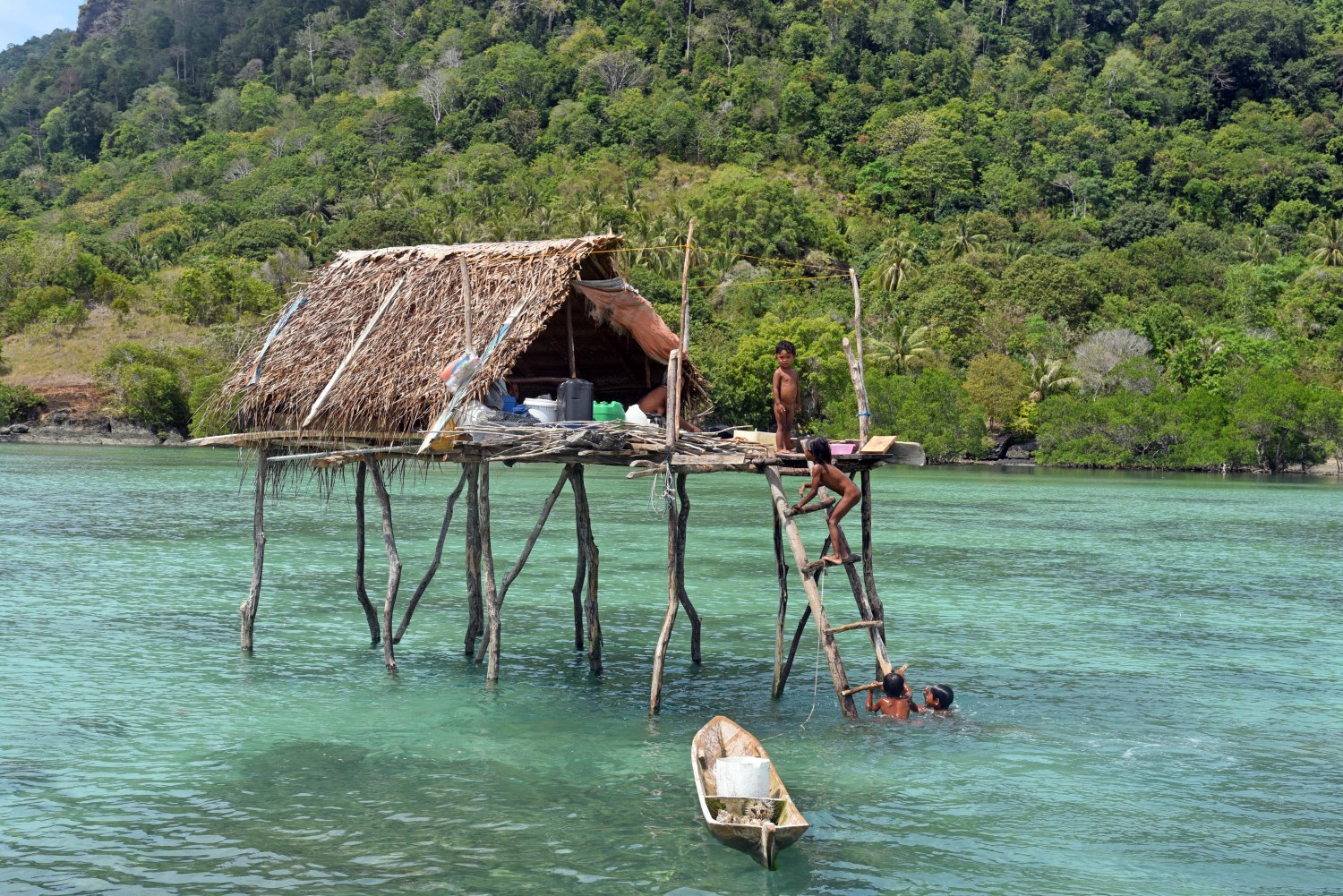 The Aquatic Ape | For a Living Ocean
