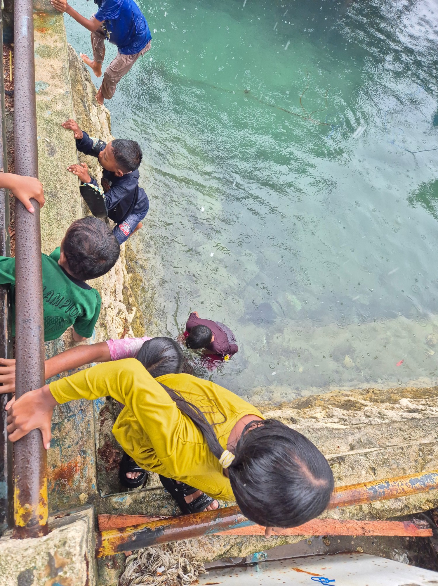 The Aquatic Ape | For a Living Ocean